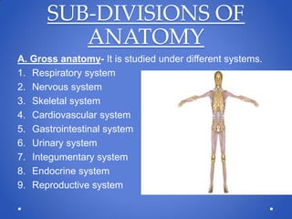 Introduction to anatomy- easy explanation | PDF