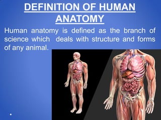 Introduction to anatomy- easy explanation | PDF