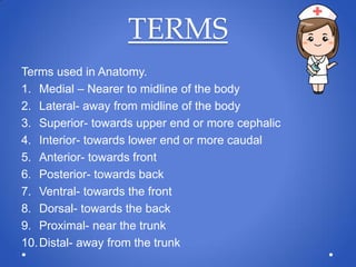 Introduction to anatomy- easy explanation | PDF