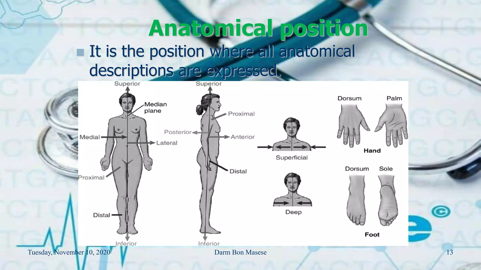Introduction to anatomy | PDF