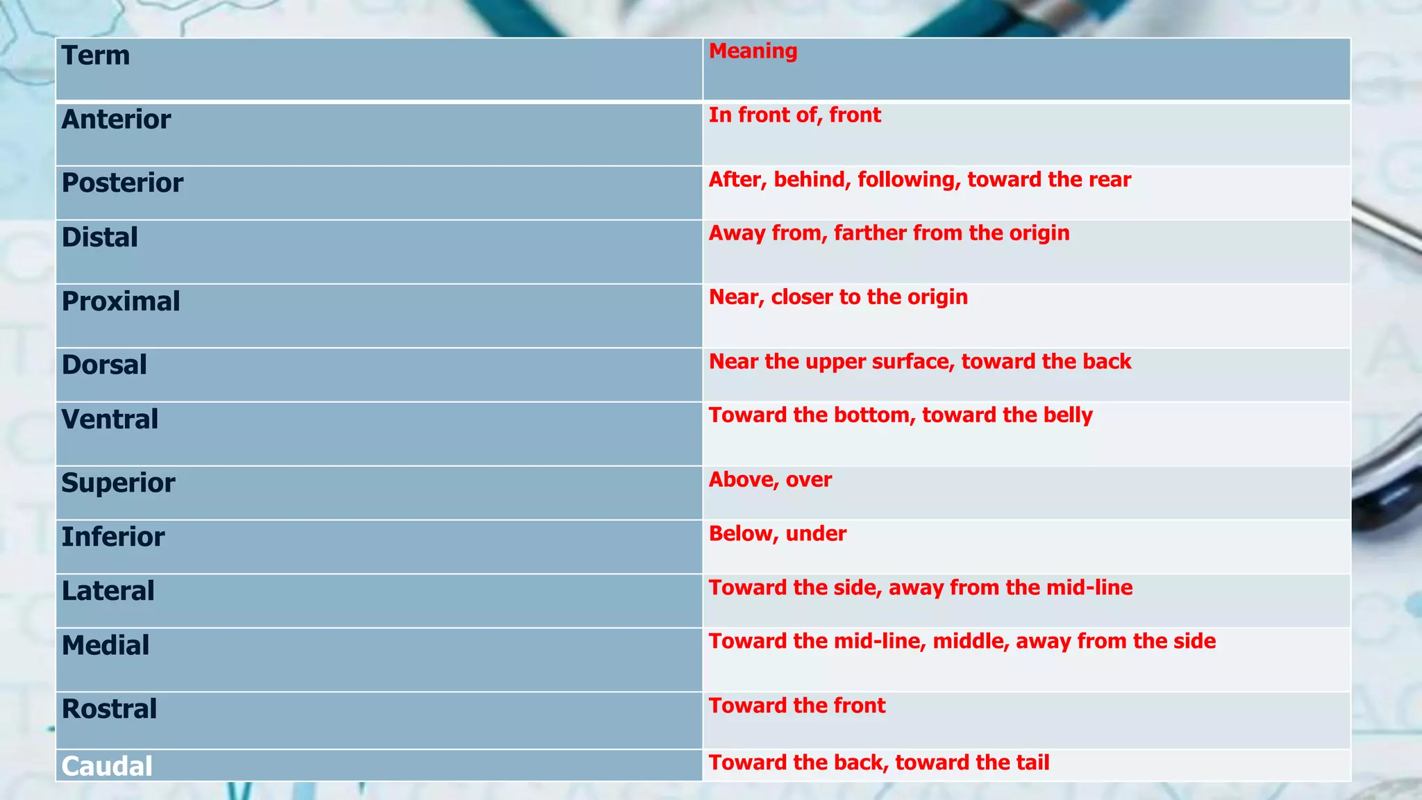 Introduction to anatomy | PDF
