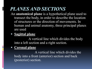 Introduction to anatomy | PDF