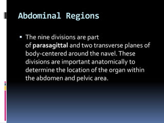 Introduction to anatomy | PDF
