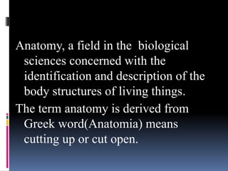 Introduction to anatomy | PDF
