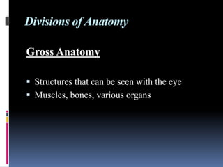 Introduction to anatomy | PDF