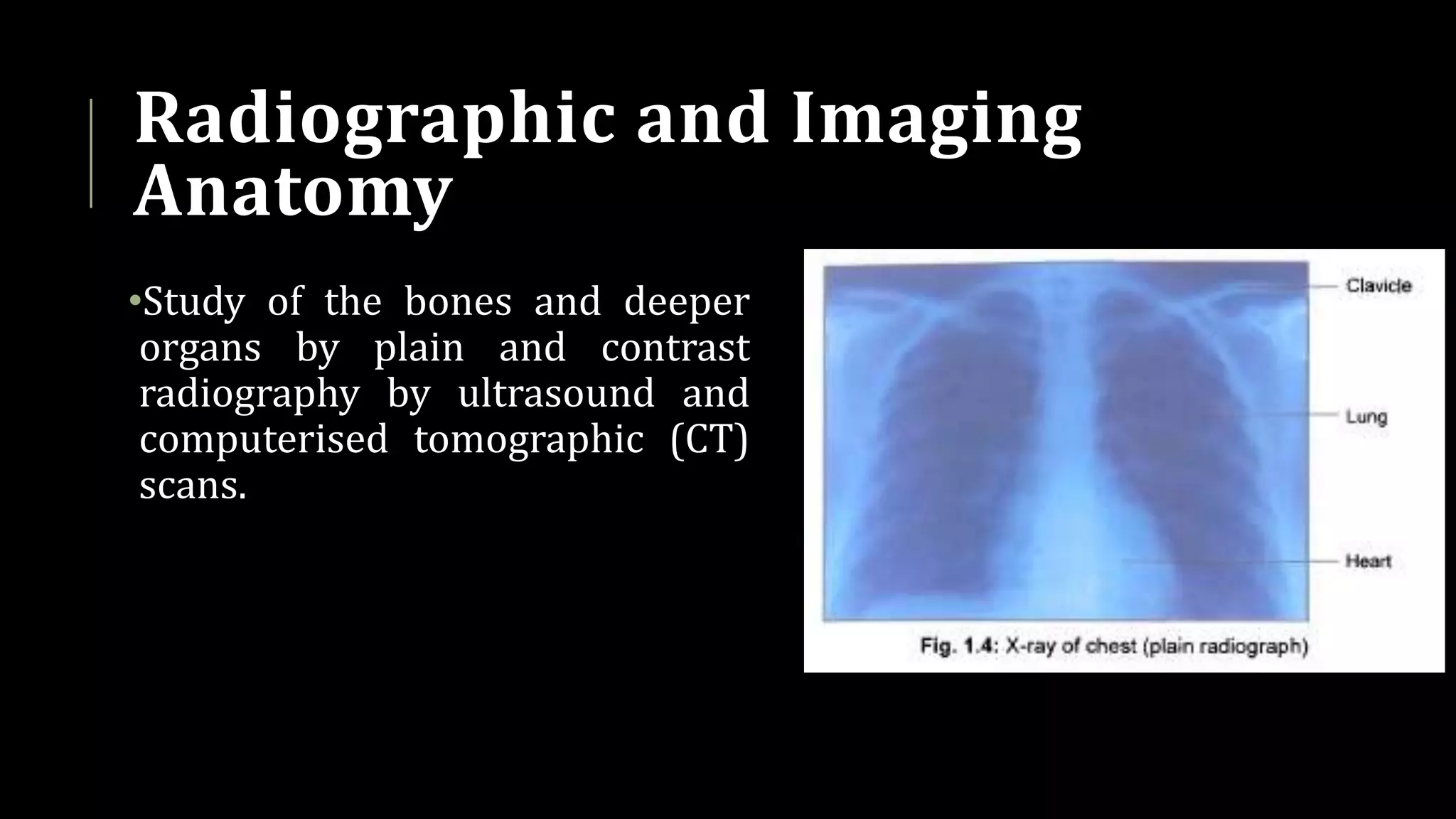 Introduction to anatomy | PPTX