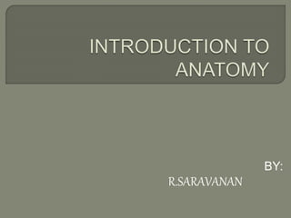 Introduction to anatomy | PPTX