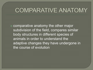 Introduction to anatomy | PPTX
