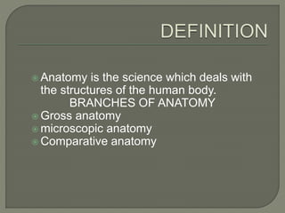 Introduction to anatomy | PPTX