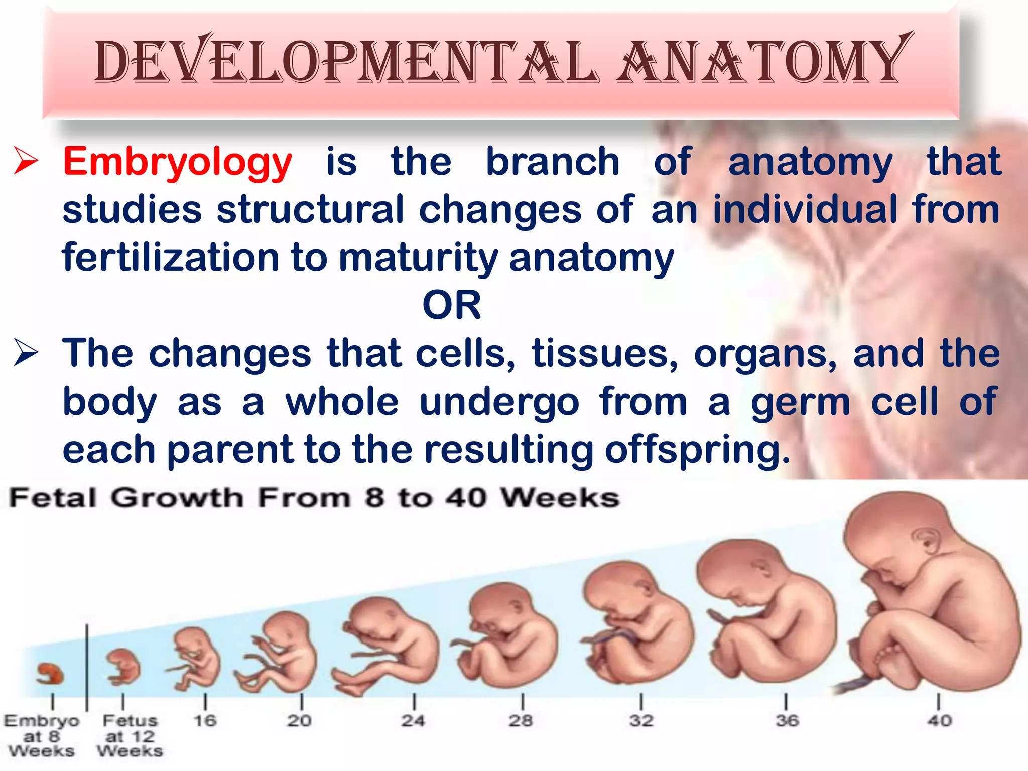 Introduction to Anatomy and Physiology | PDF