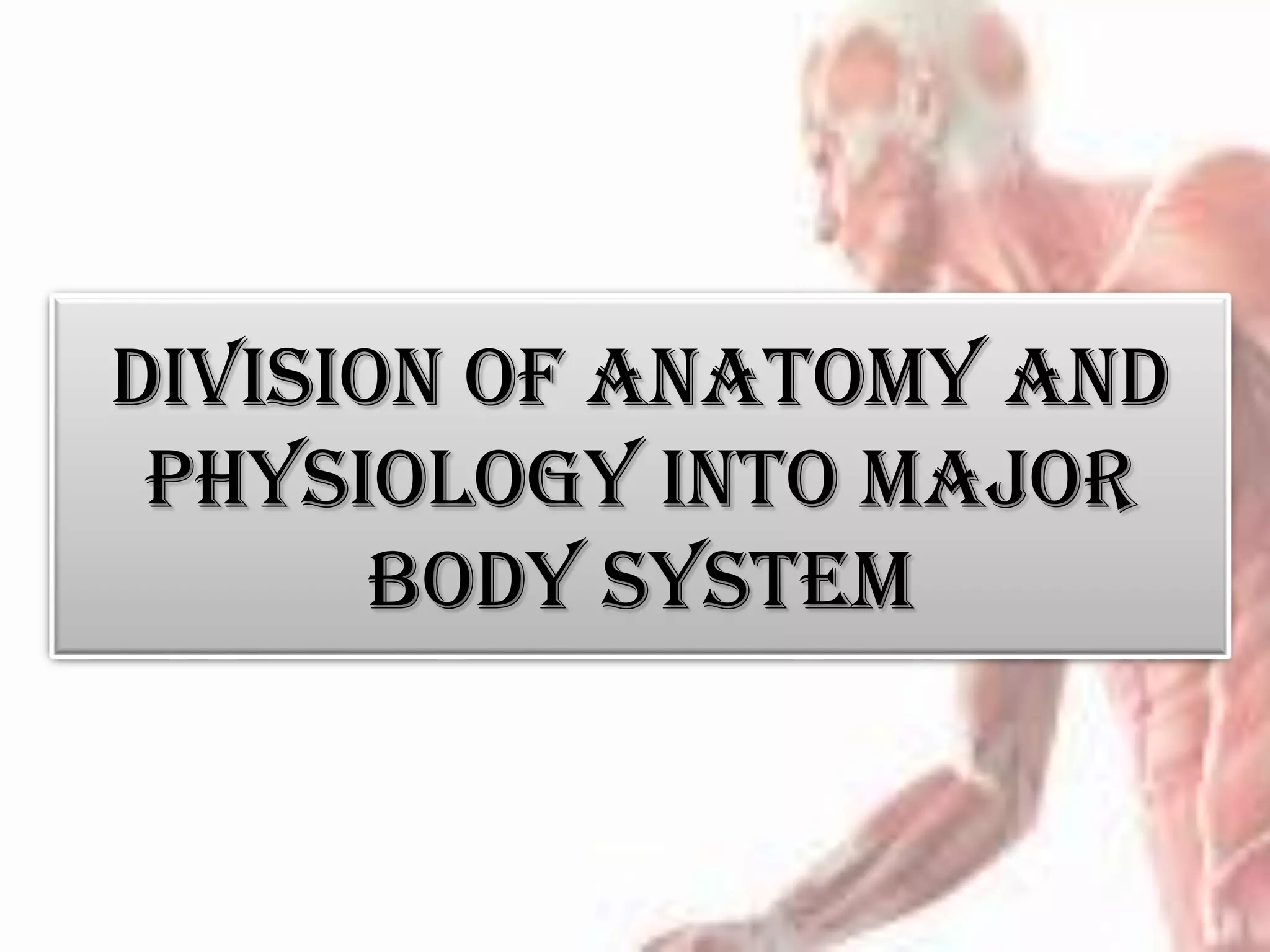 Introduction to Anatomy and Physiology | PDF
