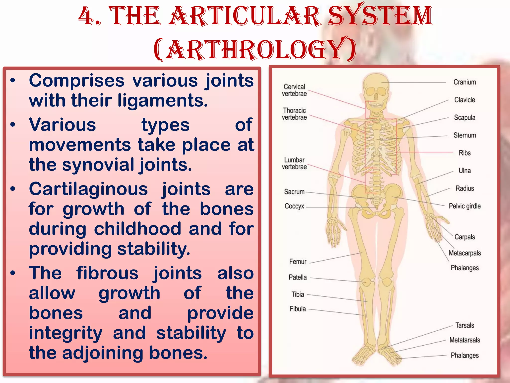 Introduction to Anatomy and Physiology | PDF