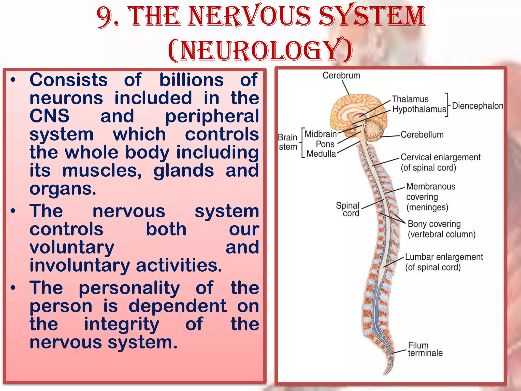Introduction to Anatomy and Physiology | PDF