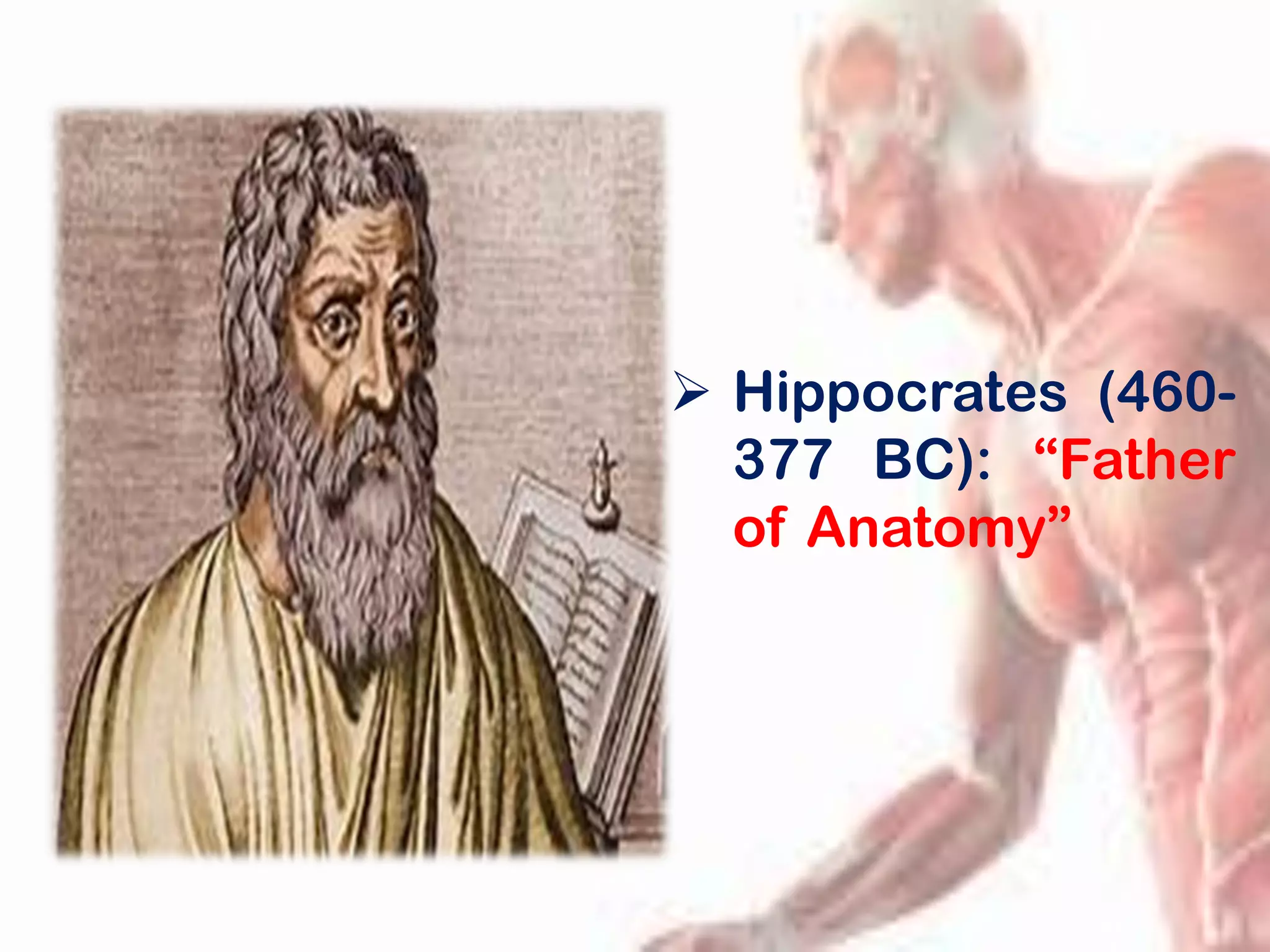 Introduction to Anatomy and Physiology | PDF