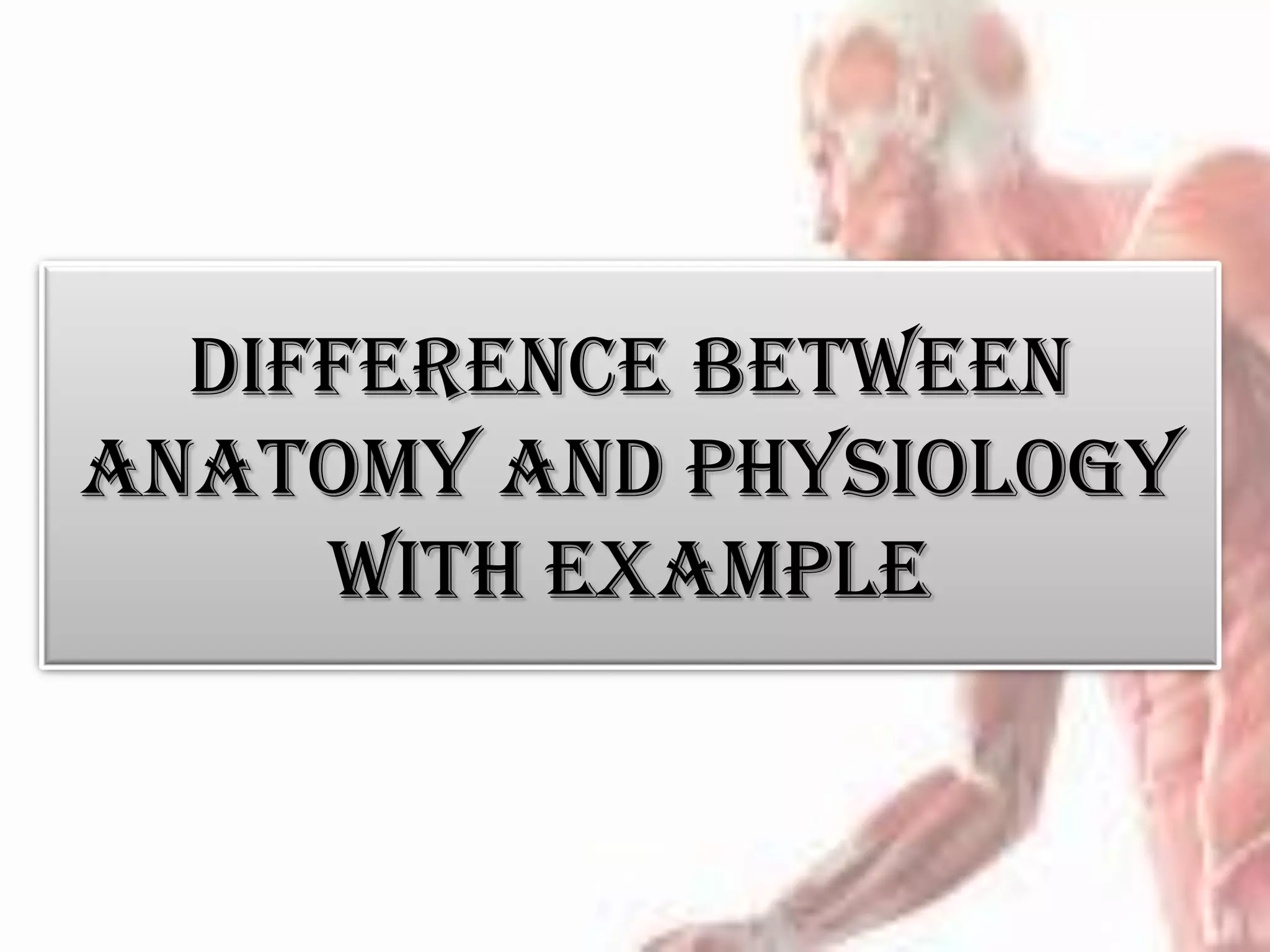 Introduction to Anatomy and Physiology | PDF