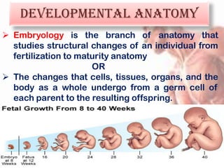 Introduction to Anatomy and Physiology | PDF
