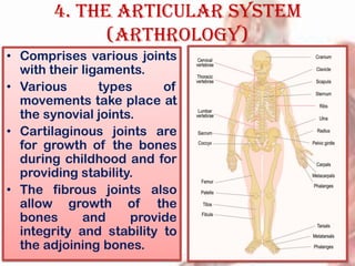 Introduction to Anatomy and Physiology | PDF