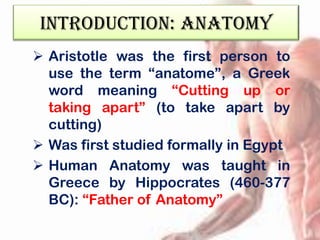 Introduction to Anatomy and Physiology | PDF