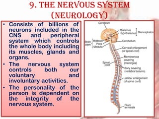 Introduction to Anatomy and Physiology | PDF