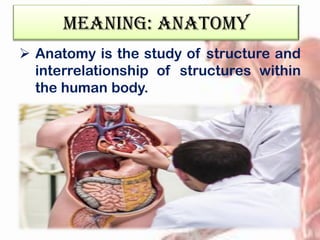 Introduction to Anatomy and Physiology | PDF