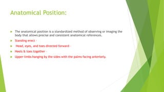 Introduction to Anatomy by Dr. Sami | PPT