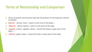 Introduction to Anatomy by Dr. Sami | PPT