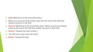 Introduction to Anatomy by Dr. Sami | PPT