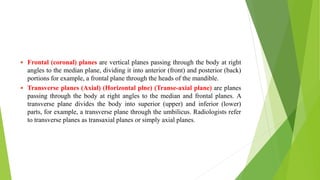 Introduction to Anatomy by Dr. Sami | PPT