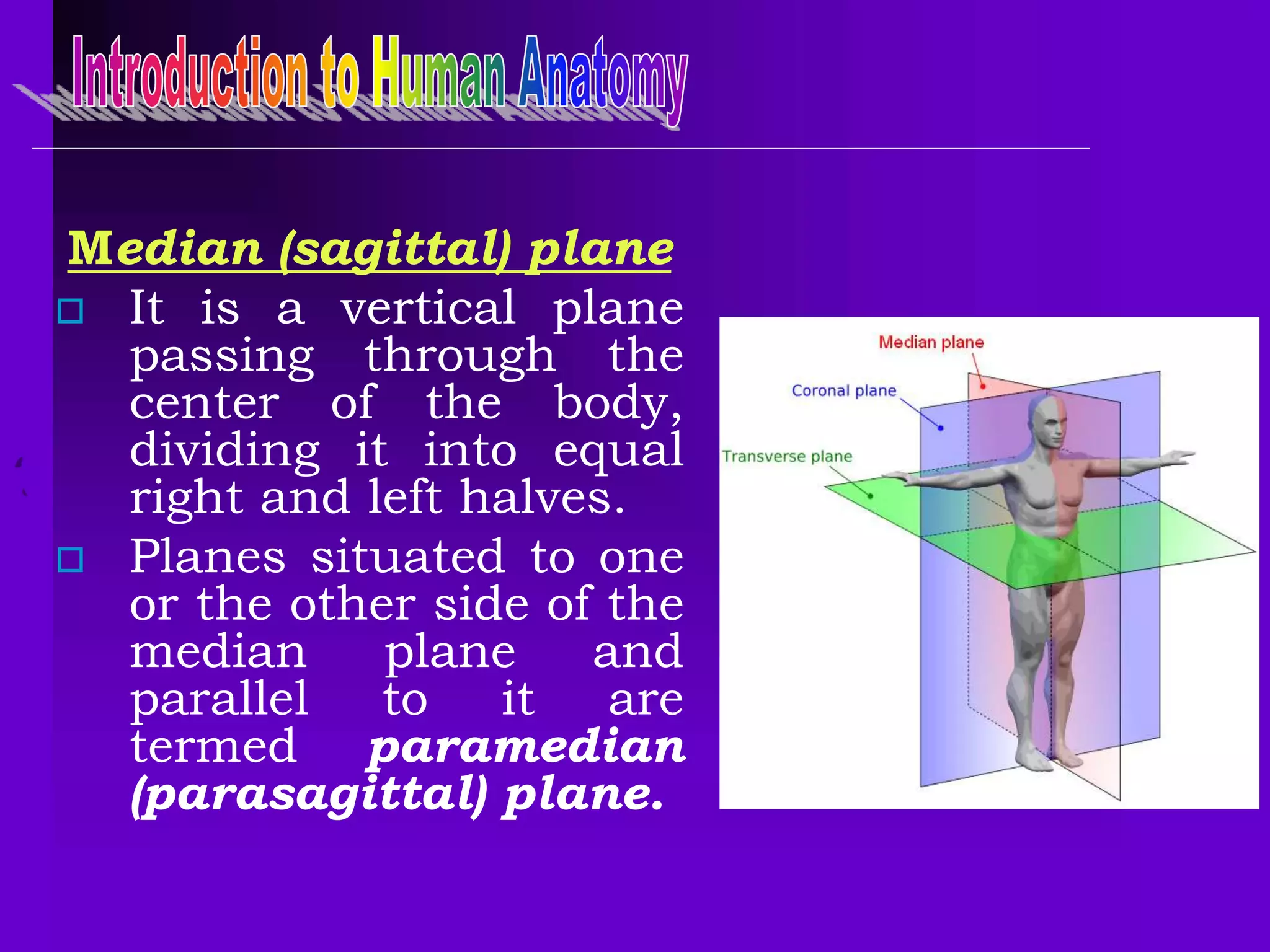 introduction to anatomy.pptx