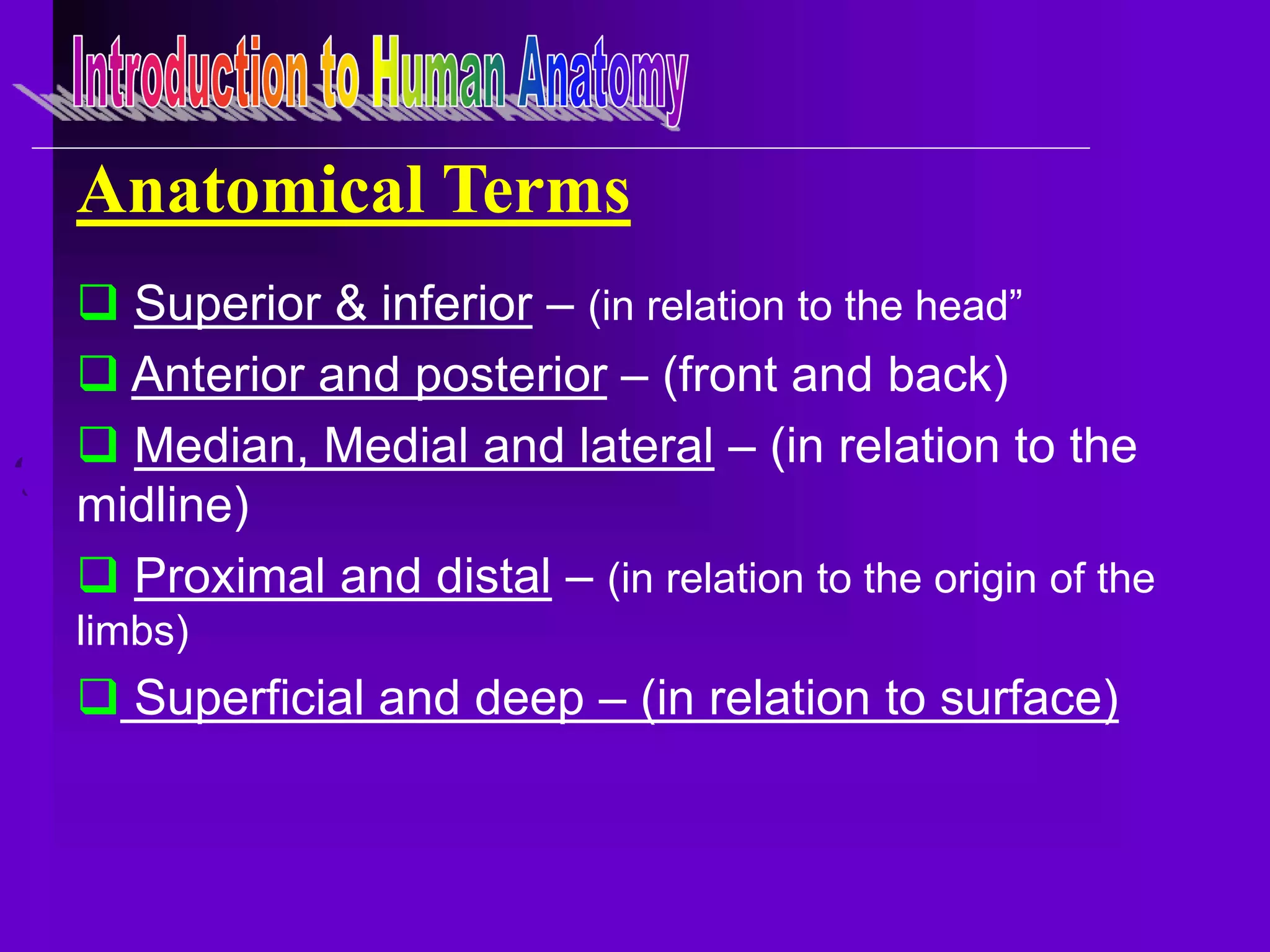 introduction to anatomy.pptx