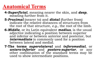 introduction to anatomy.pptx