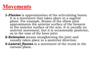 introduction to anatomy.pptx