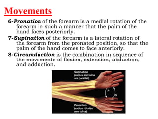 introduction to anatomy.pptx