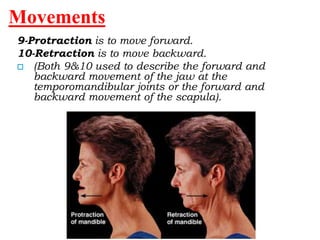 introduction to anatomy.pptx