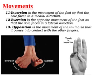 introduction to anatomy.pptx