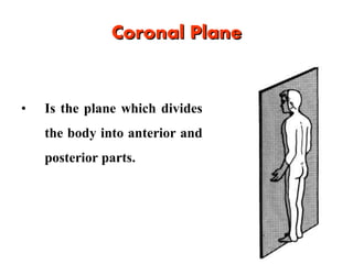 Introduction to Anatomy. DR. Ahmed Gamal.pdf
