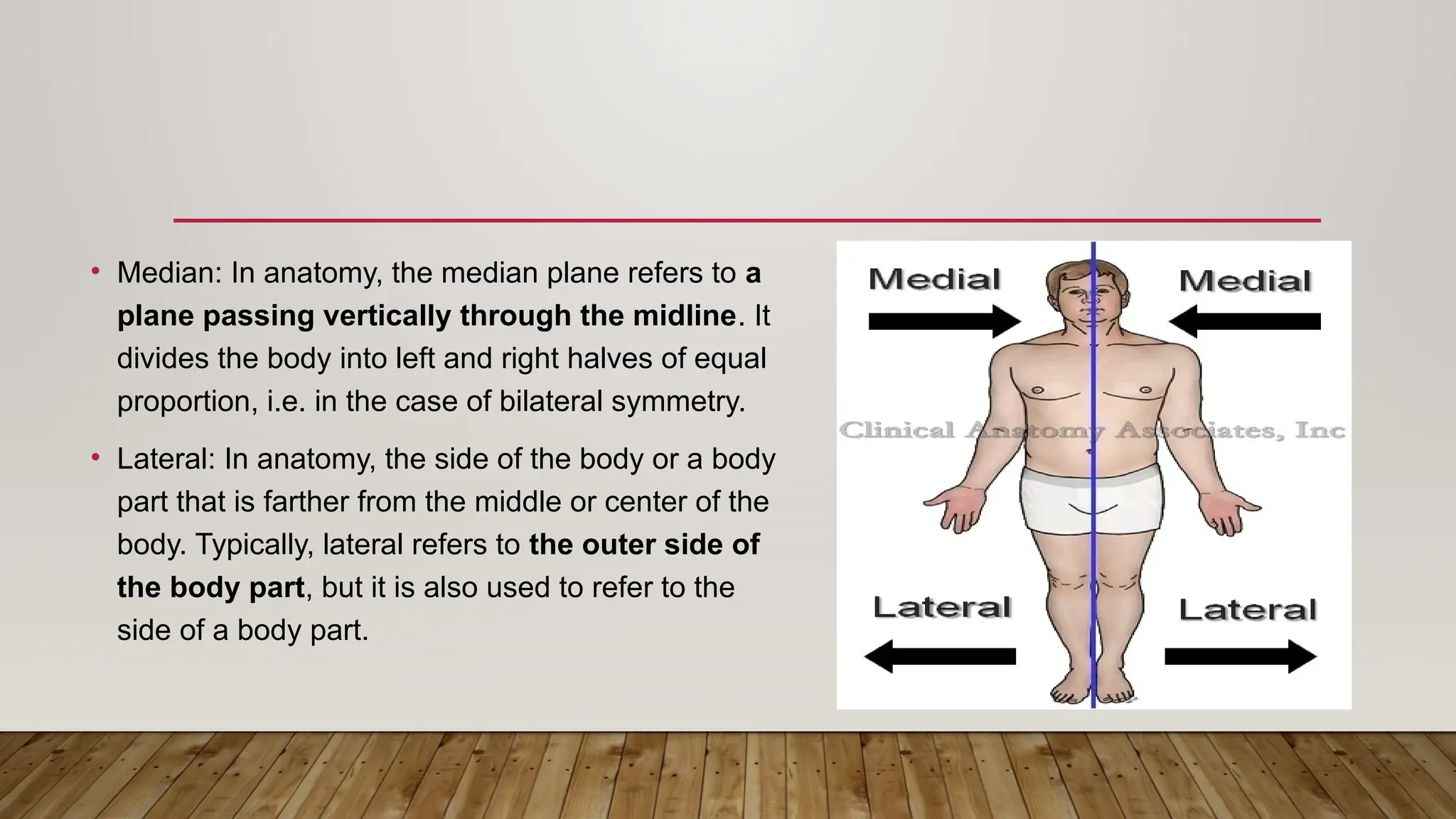 INTRODUCTION TO ANATOMY IN DETAIL PRESENATION | PPTX | Biological ...