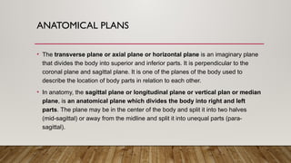 INTRODUCTION TO ANATOMY IN DETAIL PRESENATION | PPTX
