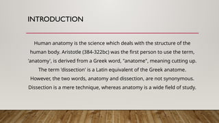 INTRODUCTION TO ANATOMY IN DETAIL PRESENATION | PPTX | Biological ...