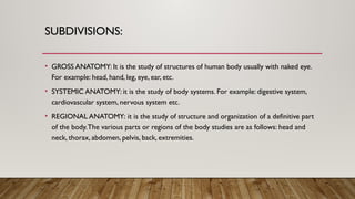 INTRODUCTION TO ANATOMY IN DETAIL PRESENATION | PPTX