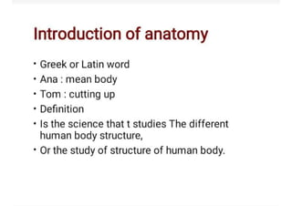 Definition of anatomy, introduction to anatomy and branches of anatomy ...