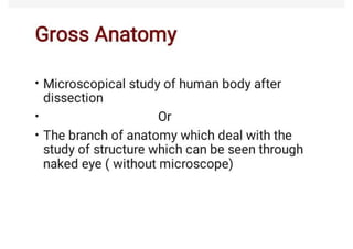 Definition of anatomy, introduction to anatomy and branches of anatomy ...