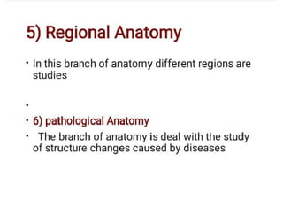 Definition of anatomy, introduction to anatomy and branches of anatomy ...