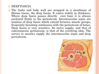 INTRODUCTION TO HUMAN body and ANATOMY.pdf