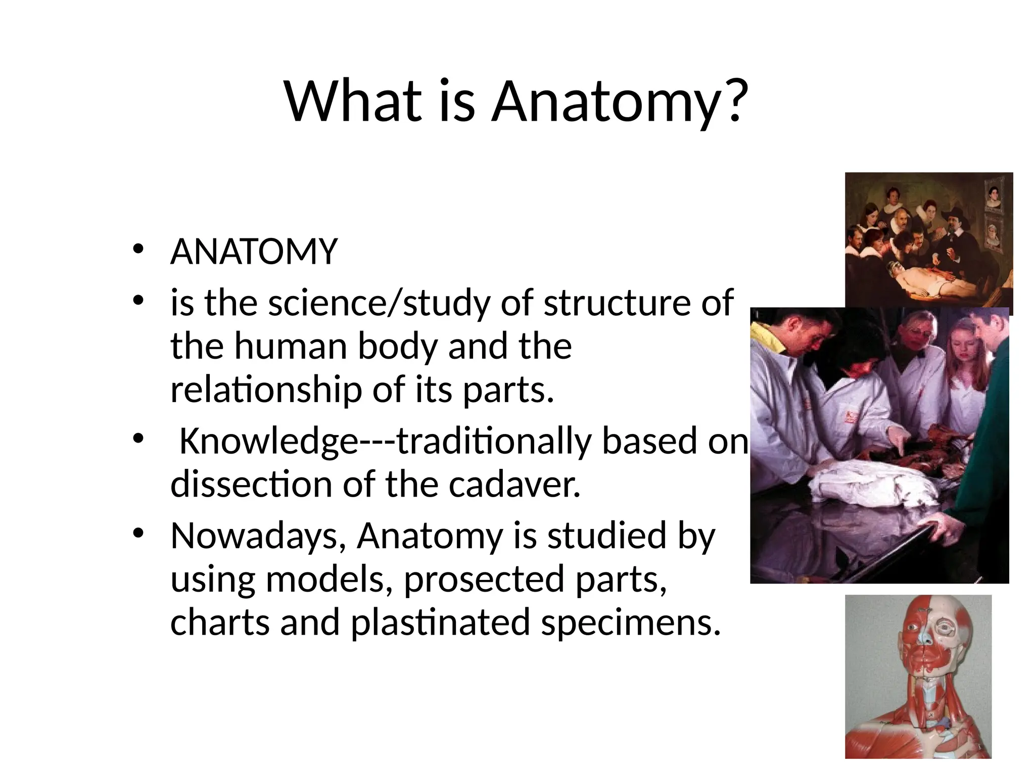 Introduction to Human Anatomy for student | PPTX