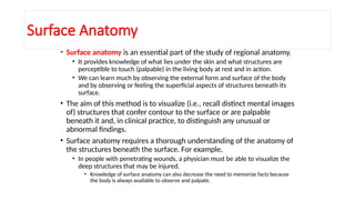 Introduction to Anatomy and human body.pptx
