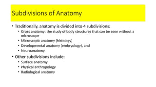 Introduction to Anatomy and human body.pptx