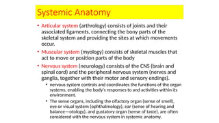 Introduction to Anatomy and human body.pptx