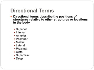 Introduction to anatomy.pptx