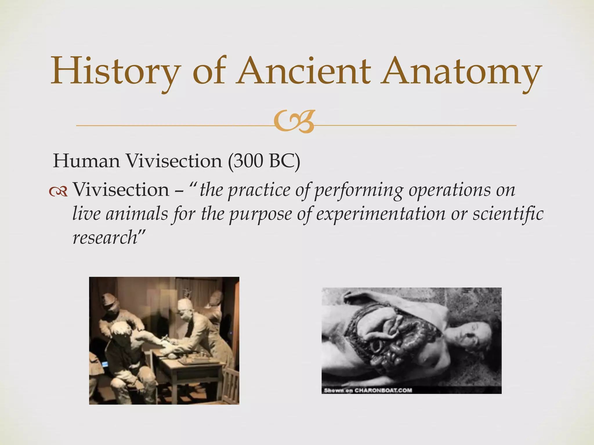 Introduction to anatomy 1 | PDF